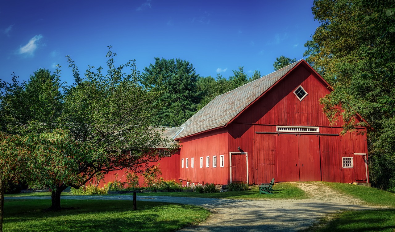 Barn Conversions: Everything You Need to Know About Class Q Planning - Homz