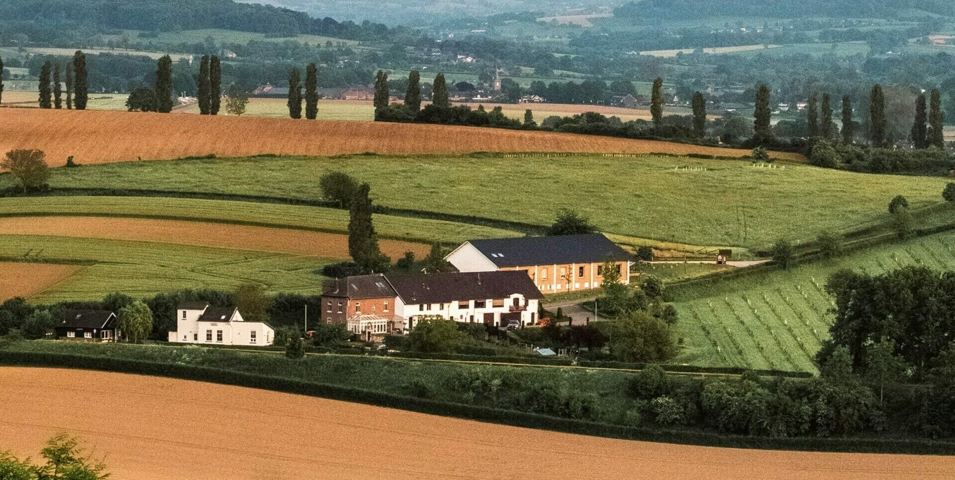 Grey Belt Explained: The Overlooked Land with Untapped Potential - Homz UK