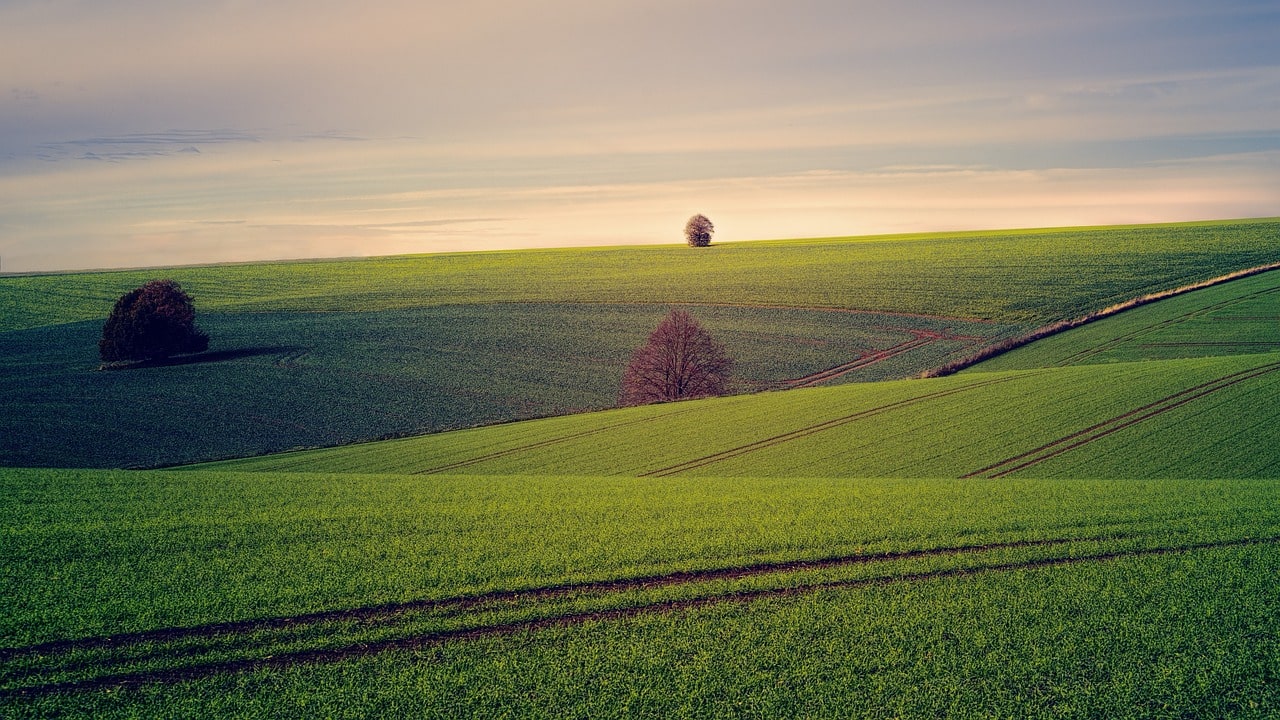 Can You Develop or Extend Your Property in Green Belt Without Full ...